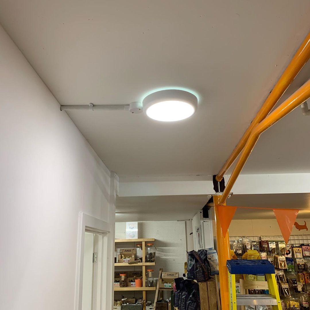 Platform Electrical Repair